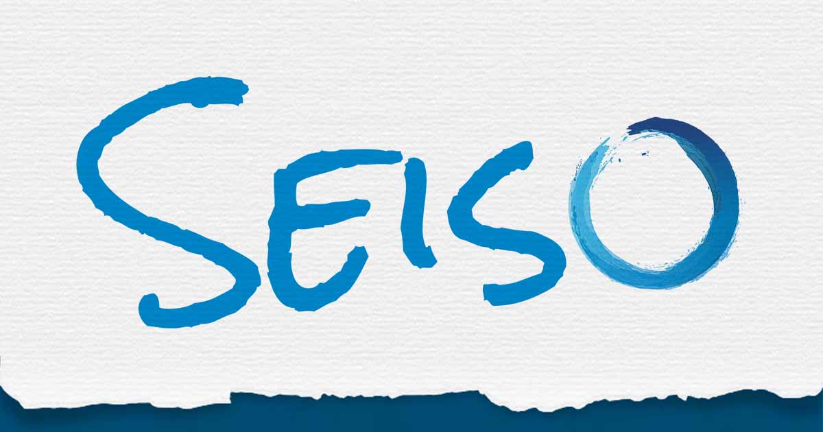 Cybersecurity Maturity 101 - Seiso LLC